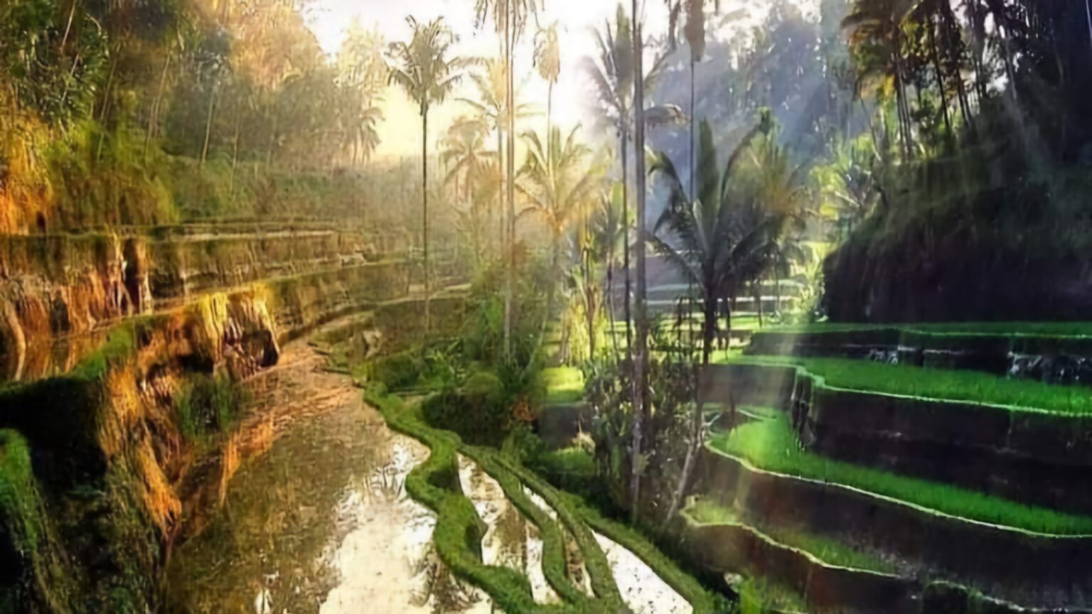 Subak Irrigation System: A Sacred Harmony of Water, Rice, and Culture ...