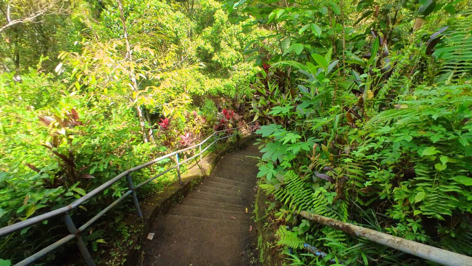 Gitgit Waterfall: A Complete Guide Bali's Most Beautiful Waterfalls