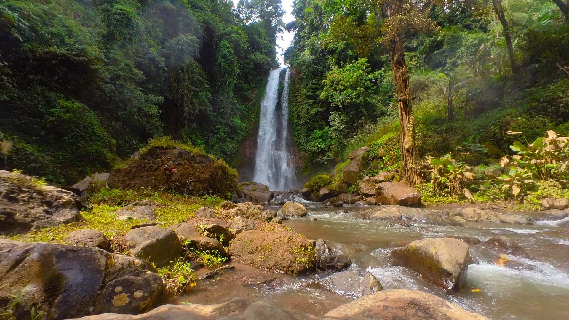 Gitgit Waterfall: A Complete Guide Bali's Most Beautiful Waterfalls