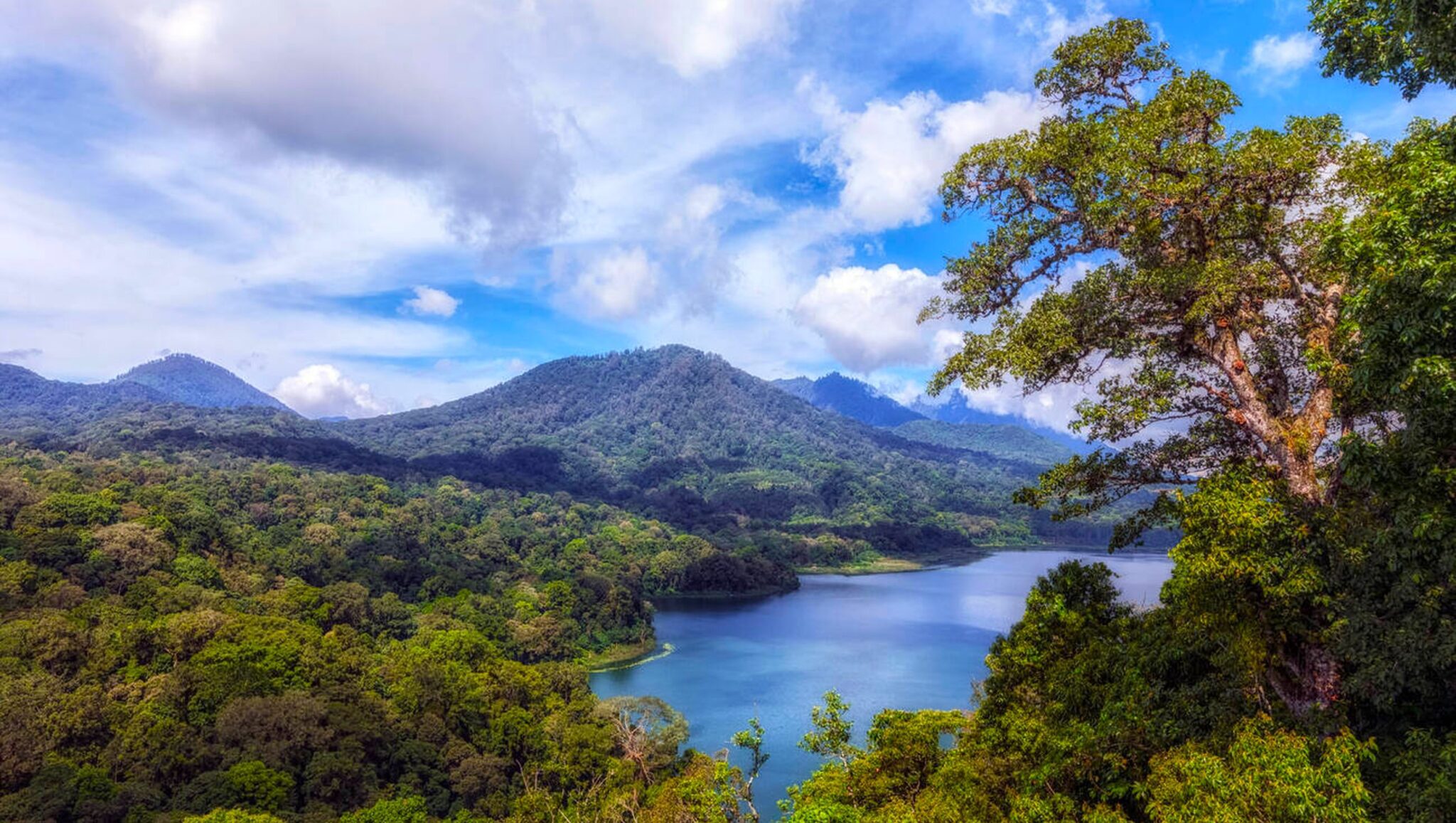 Tamblingan and Buyan Lakes: A Guide to Bali’s Twin Lakes