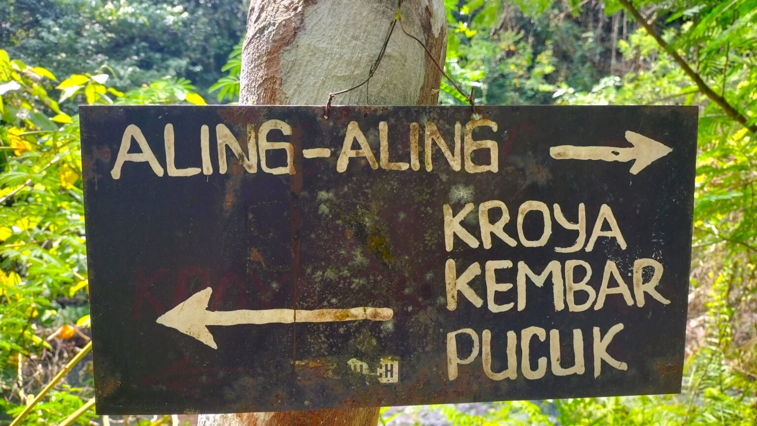 Aling-Aling Waterfall: A Complete Guide to Bali's Hidden Gem