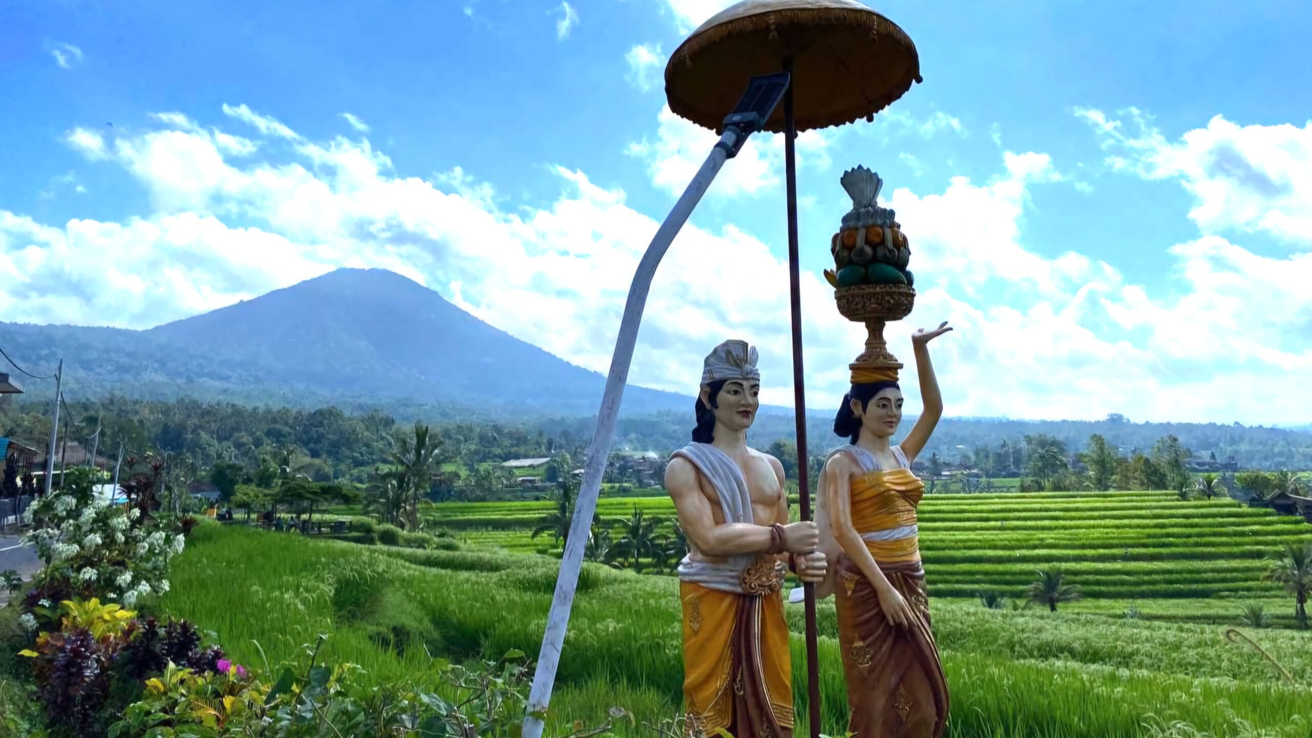 Subak Irrigation System: A Sacred Harmony of Water, Rice, and Culture ...