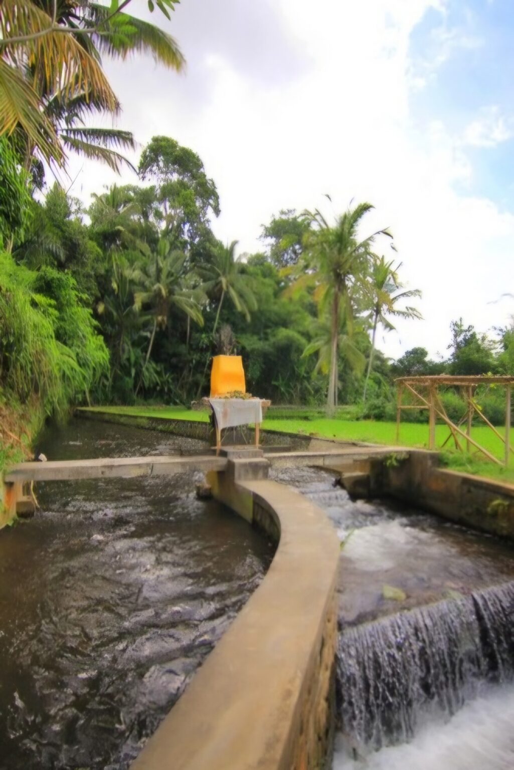 Subak Irrigation System: A Sacred Harmony of Water, Rice, and Culture ...