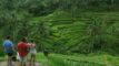 Subak Irrigation System: A Sacred Harmony of Water, Rice, and Culture ...