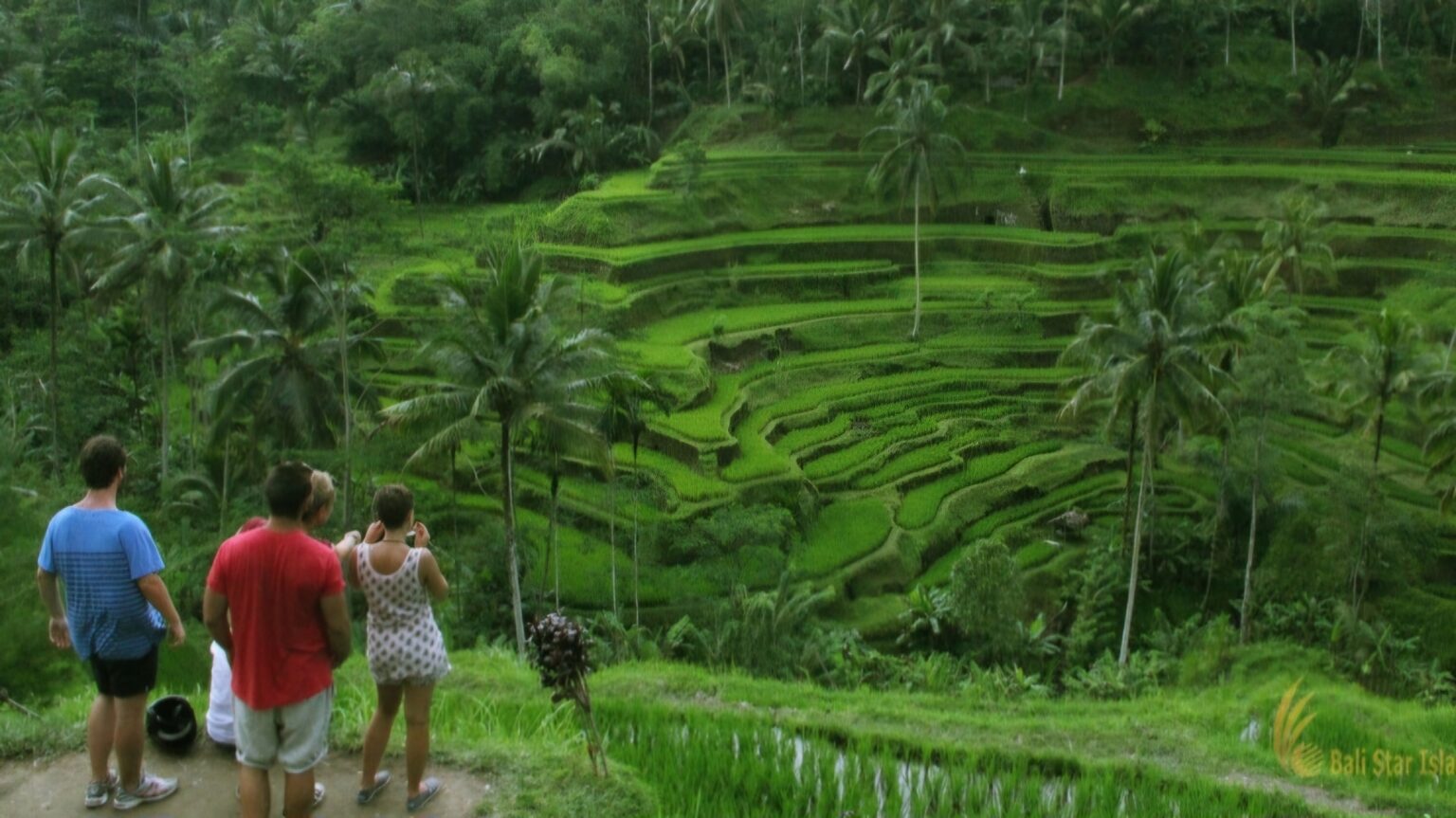 Subak Irrigation System: A Sacred Harmony of Water, Rice, and Culture ...