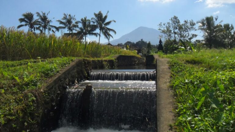 Subak Irrigation System: A Sacred Harmony of Water, Rice, and Culture ...